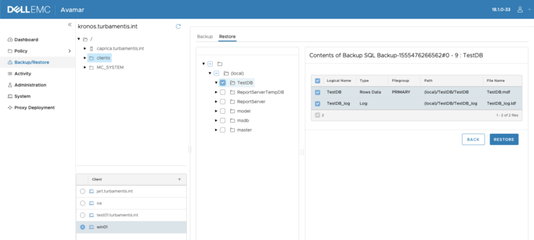 Basics – Recovering SQL Databases as Files in Avamar | Data Protection Hub