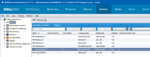 Mount the same Data Domain Boost device on multiple storage nodes ...