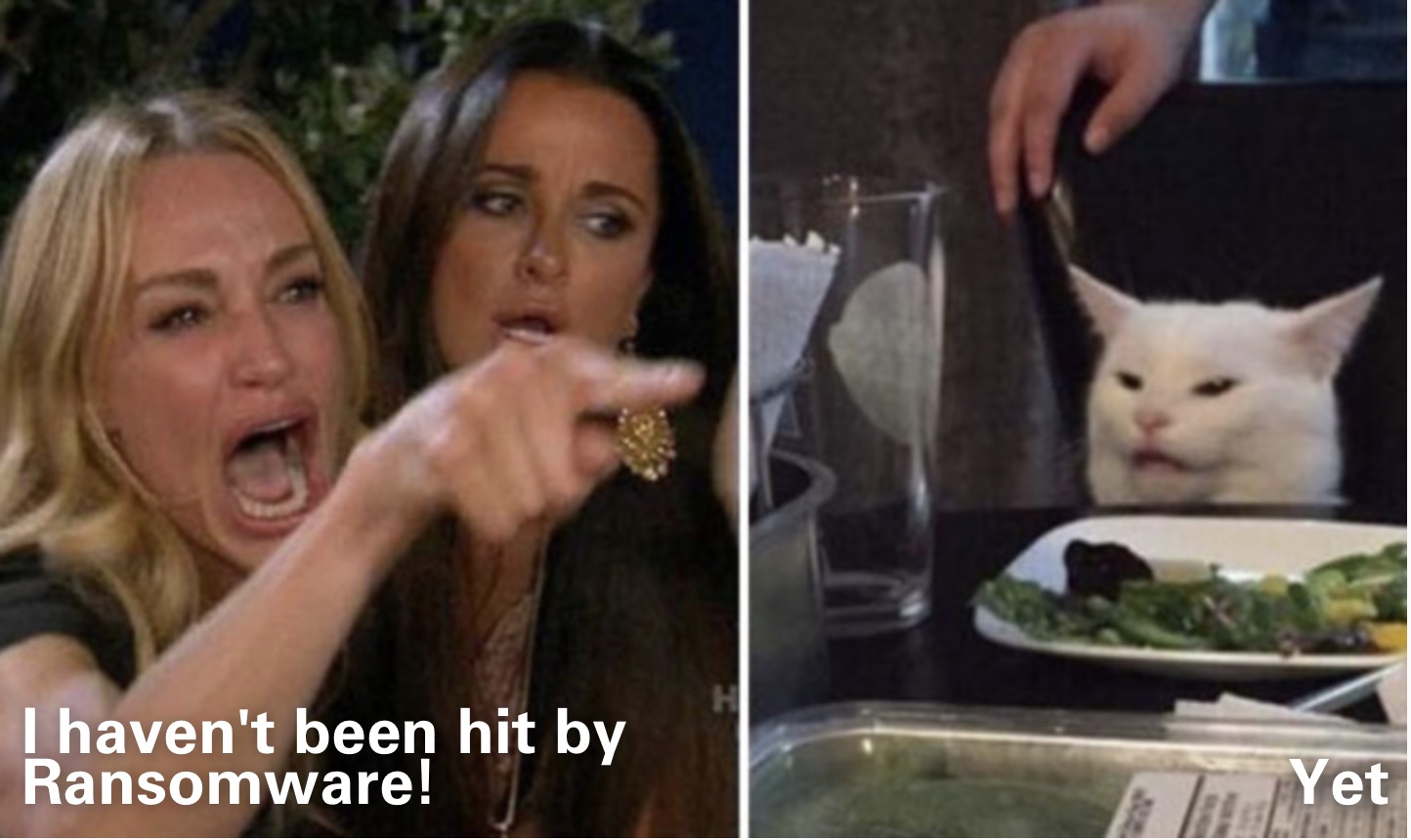 Data Protection Memes | Data Protection Hub