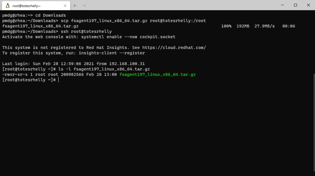PPDM FIlesystem Agent Installation and Recovery