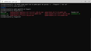 PPDM FIlesystem Agent Installation and Recovery