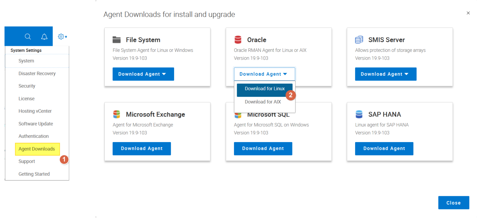 Oracle and PowerProtect Data Manager – Data Protection Hub
