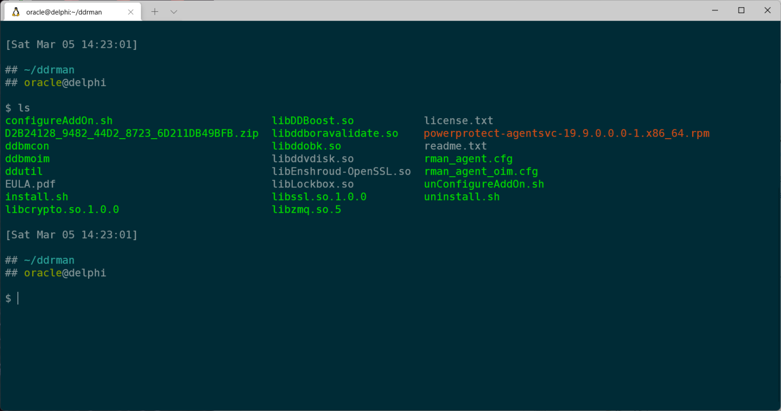 Oracle And Powerprotect Data Manager Data Protection Hub