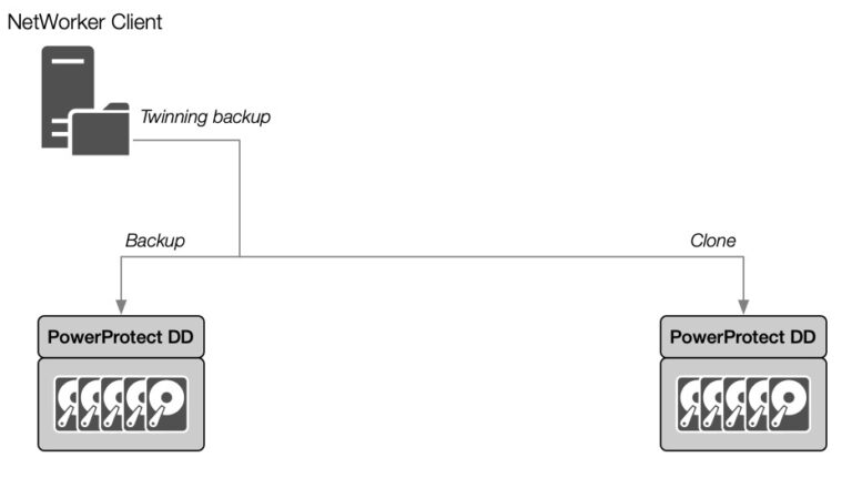 What’s new in NetWorker 19.9? | Data Protection Hub
